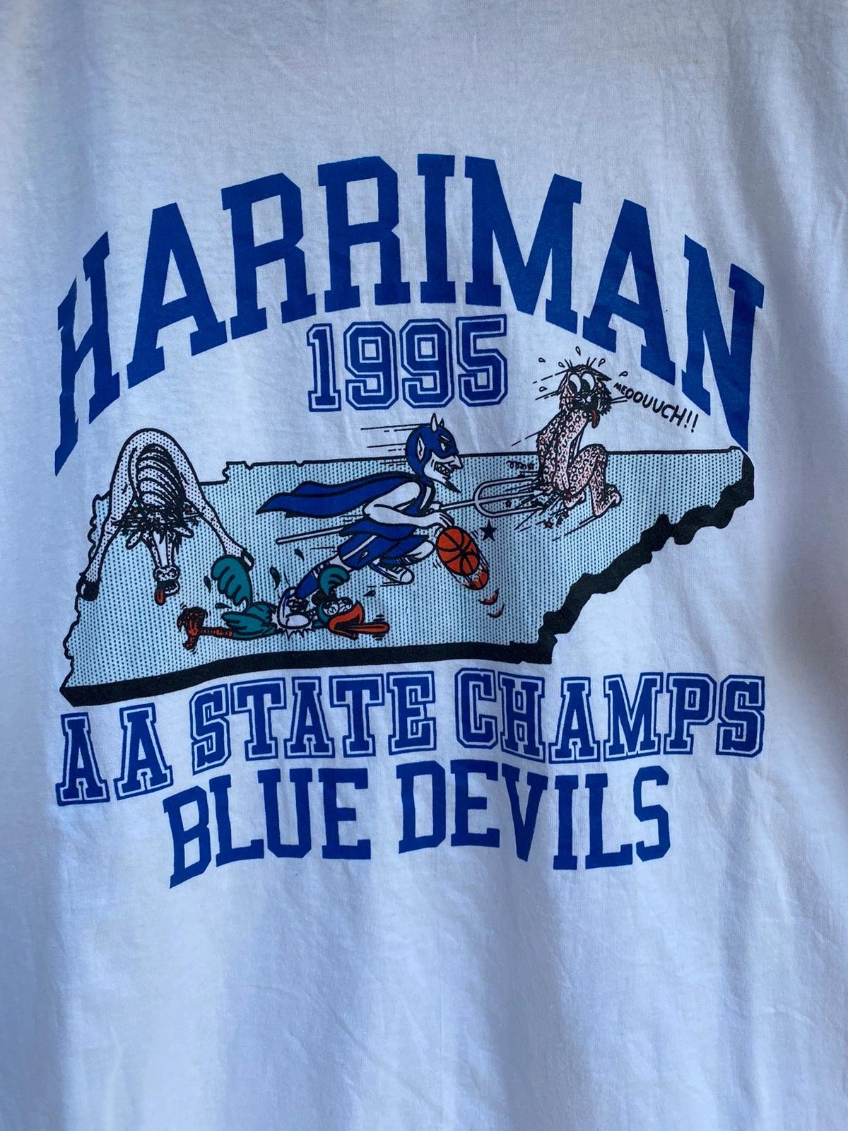 Harriman 1995 AA State Champs Blue Devils - Bluefink