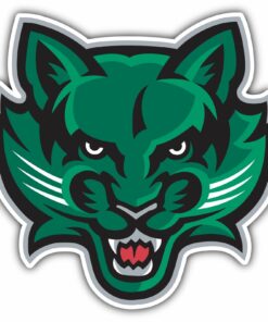 Binghamton Bearcats NCAA Logo Vinyl Decals Sticker For Car Truck Door ...