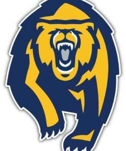 Cal California Golden Bears NCAA Vinyl Logo Vinyl Decals Sticker For ...
