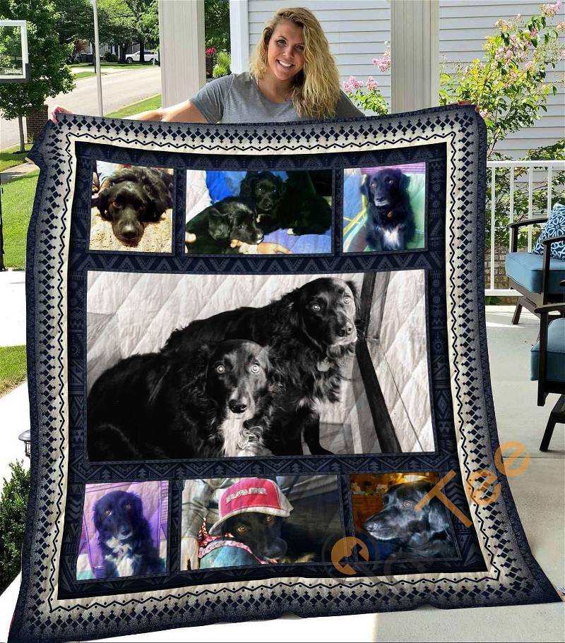 Border Collie Quilt - Bluefink