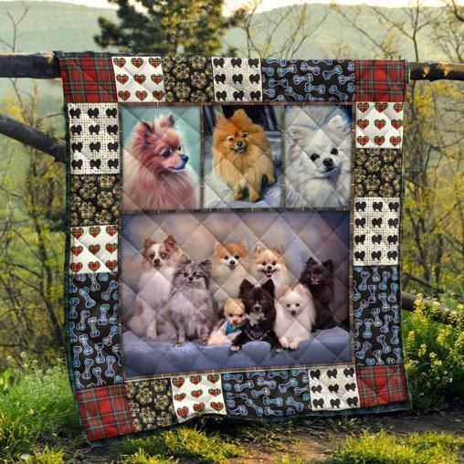 Pomeranian Pets Dog Cute Quilt Blanket - Bluefink